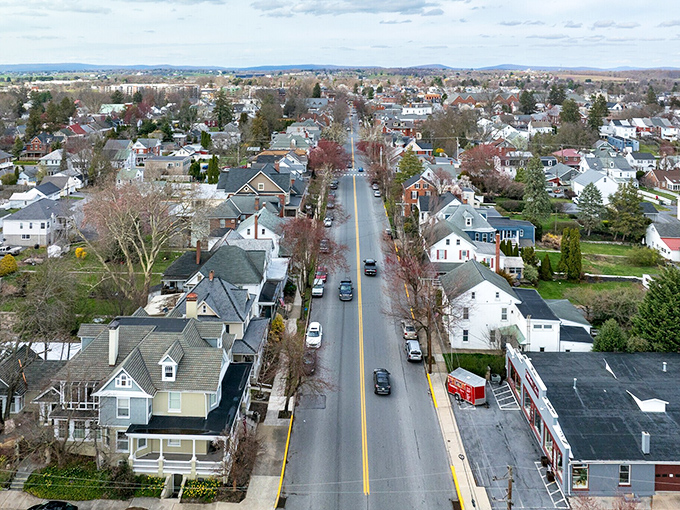 Tree-lined streets create nature's own cathedral, where every stroll feels like Sunday morning.