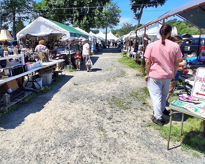 Walking these pathways between vendors feels like a treasure hunt for grown-ups. X marks the spot where your wallet gets lighter!