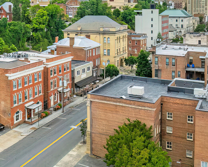 This bird's eye view of Lynchburg reveals a town that found the perfect balance between "quaint" and "you can still get decent WiFi."