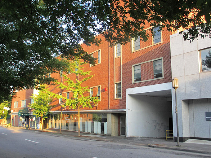 Sometimes the most beautiful discoveries happen in places where time moves just a little slower.