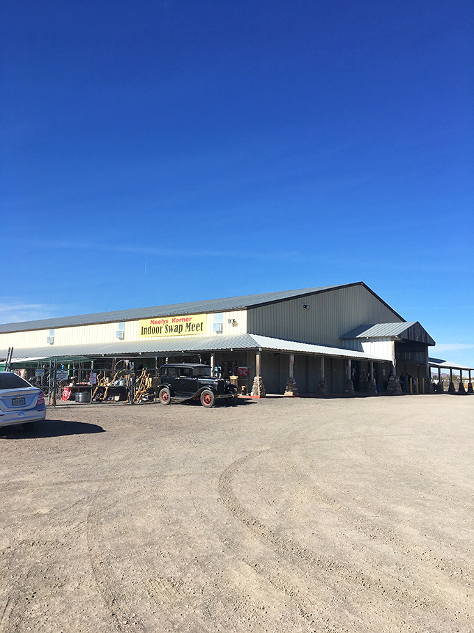 Classic swap meet magic happens here, where handshakes seal deals and everyone leaves feeling like they struck gold.
