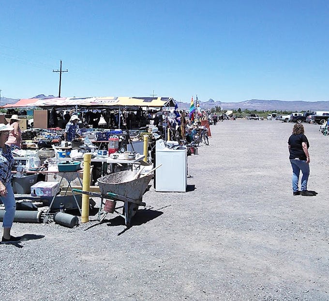 From wheelbarrows to washers, Neely's outdoor section is where practical meets peculiar in the Arizona desert.