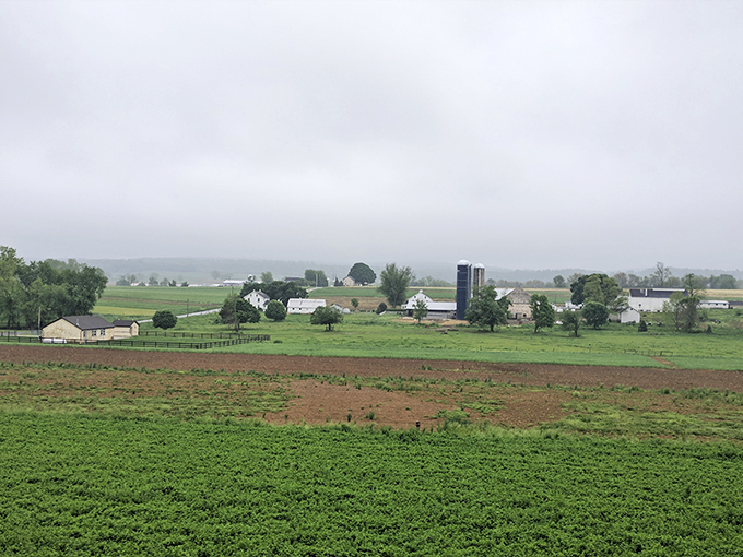 Rolling green fields stretch endlessly, creating nature's own patchwork quilt across Pennsylvania's heartland.