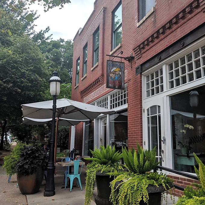 Clean lines and fresh flavors come together beautifully at this contemporary gem that's redefining Missouri seafood dining.