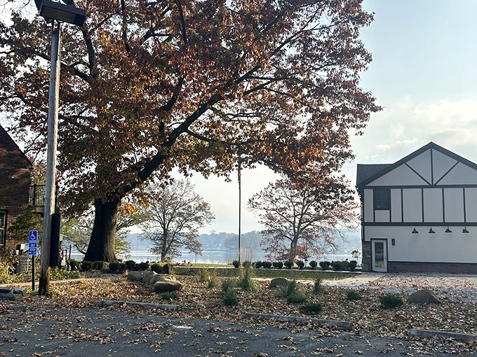 Beach bliss at its finest — a cozy house, a shady tree, and calm waters perfect for family fun.