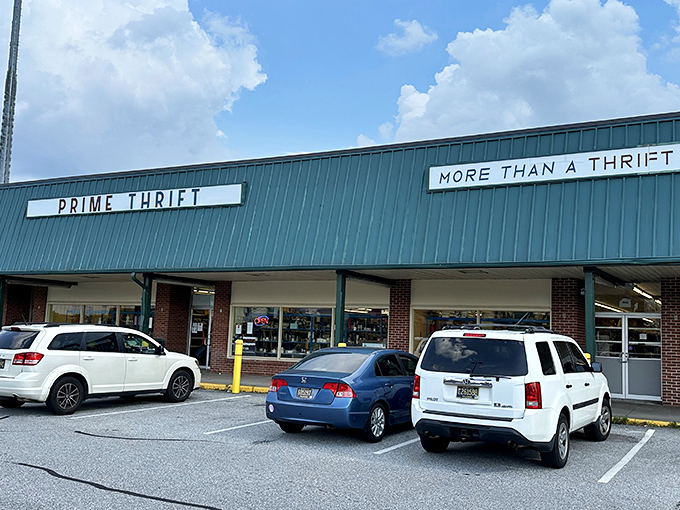 "More Than A Thrift" isn't just marketing speak - this place backs up its boastful claim with substance.