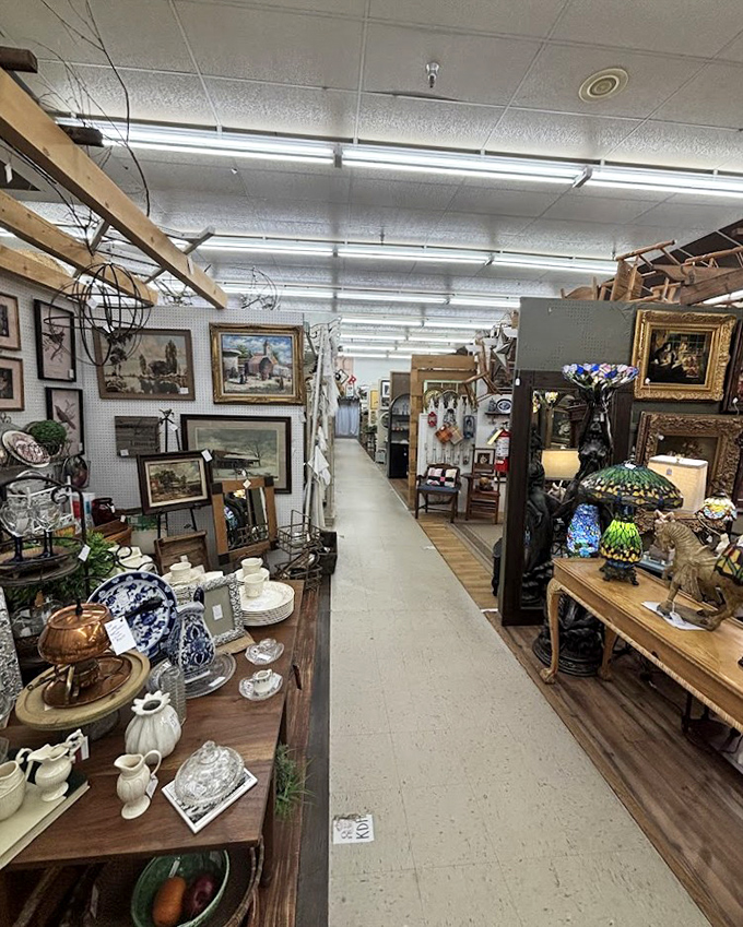 These carefully arranged vintage treasures create a museum-like atmosphere where every piece deserves a second admiring glance.