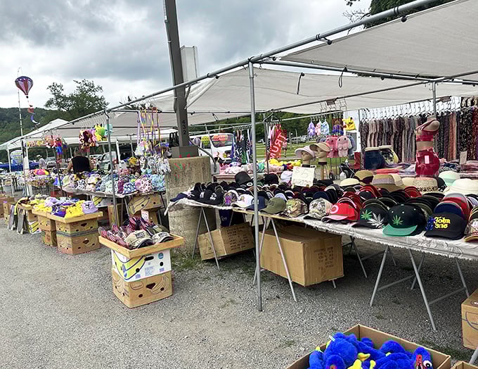 Tables overflow with life's forgotten treasures, each item whispering stories of yesterday.