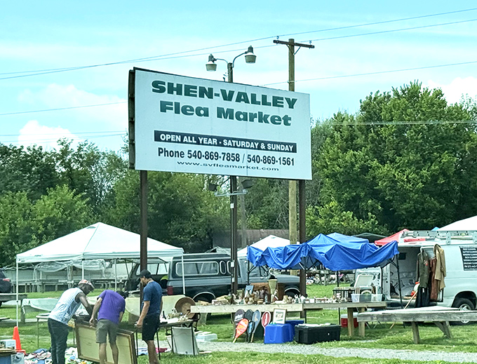 Under green canopies, vendors display their wares like artists showing off masterpieces. 