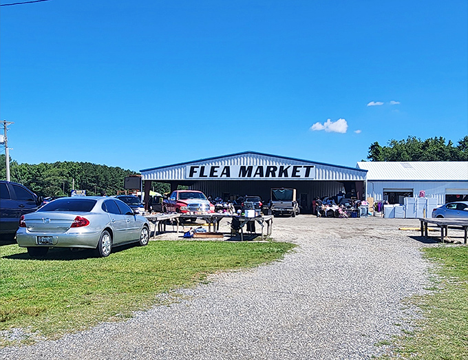 Wide aisles and proper lighting - who says flea markets can't be civilized? 