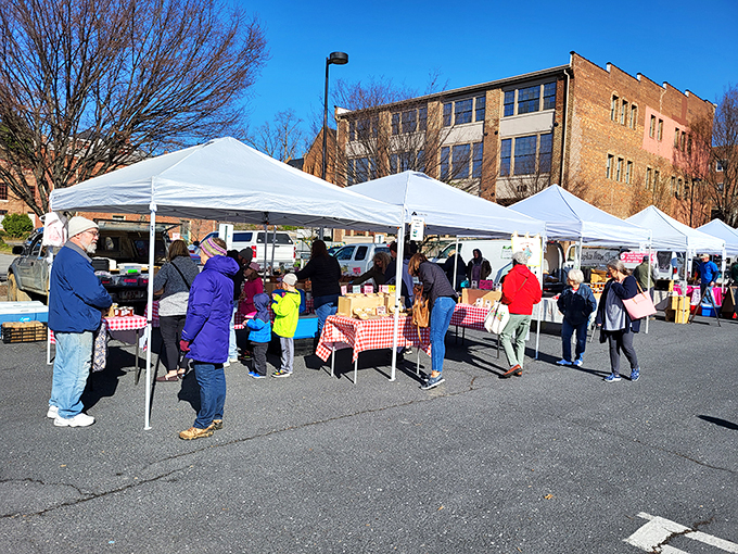Fresh air, friendly faces, and fantastic finds - this is community shopping at its absolute finest.