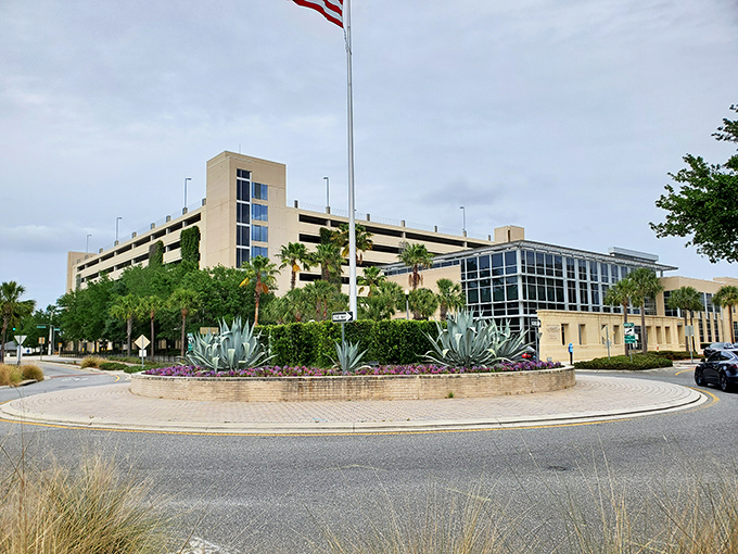 The Harris Chain of Lakes sparkles around Tavares like liquid highways, perfect for boating adventures and peaceful afternoon escapes.