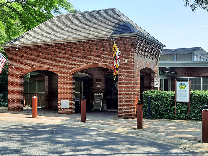 When old mill buildings get second careers, they become the perfect stage for displaying life's forgotten treasures.