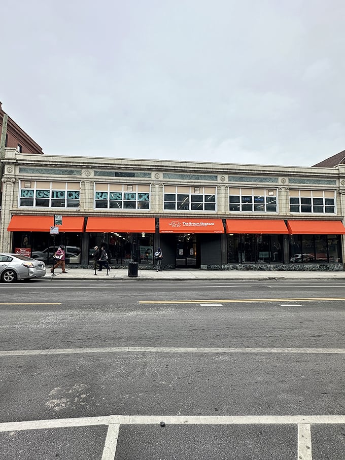 Behind that bright orange awning, The Brown Elephant houses treasures that would make any secondhand sleuth's heart skip a beat.