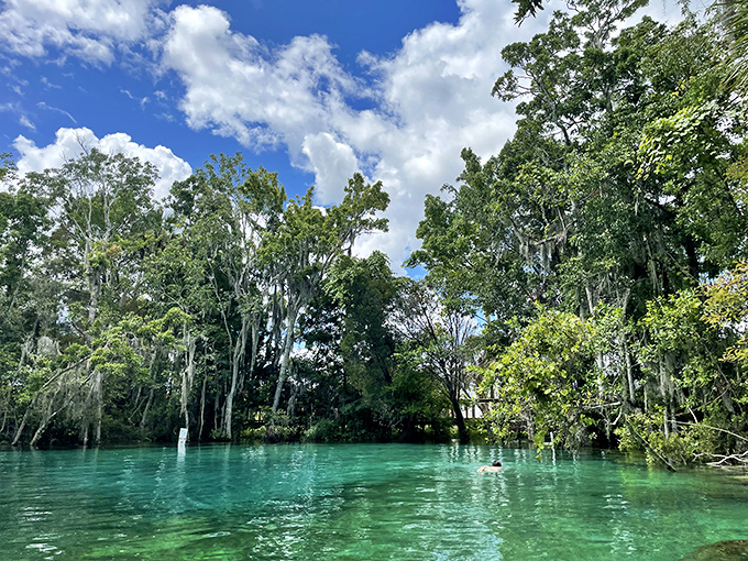 "Nature's version of a five-star resort pool. The water's so clear you'll wonder if someone forgot to put the water in until your toes touch that refreshing 72 degrees."