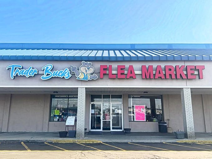 The cheerful bear mascot of Trader Buck's seems to say, "Come on in, the deals are fine!"