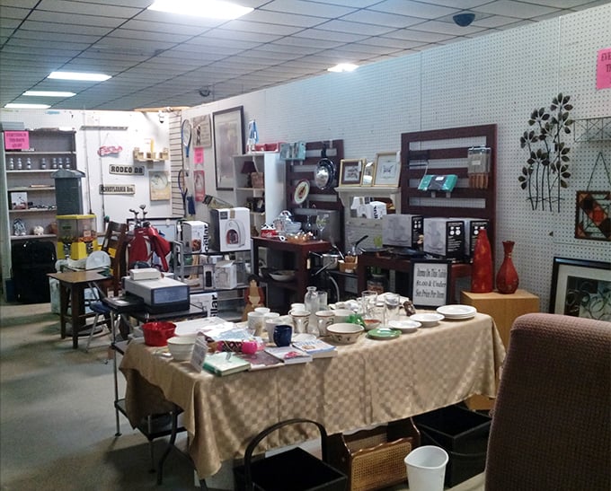 These organized displays prove that one person's clutter is another person's carefully curated collection.