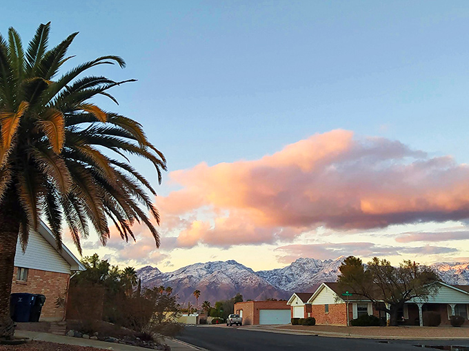Snow-capped mountains frame Tucson neighborhoods where palm trees and affordable living create the perfect retirement recipe.
