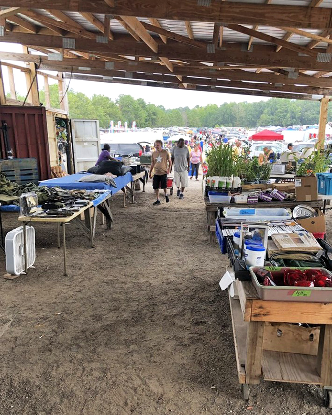 Professional vendors showcase quality merchandise in organized displays that make browsing pure joy and comfort.