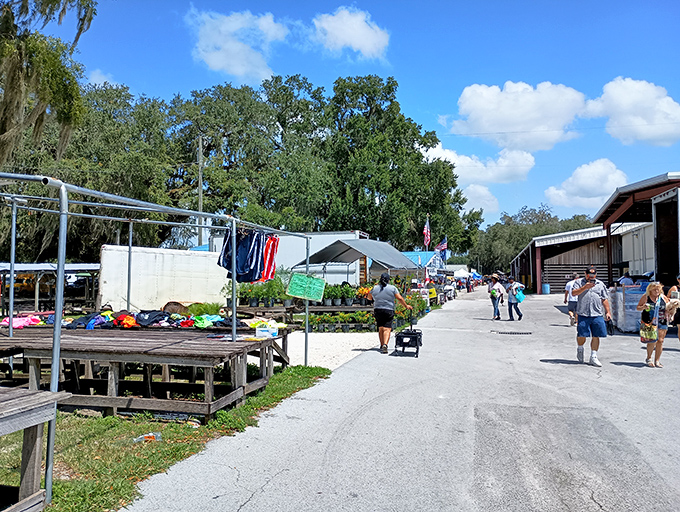 Wide aisles and organized booths make treasure hunting feel like a pleasant neighborhood stroll.