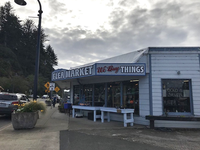 "We Buy Things" &ndash; three words that promise endless possibilities and maybe your next favorite treasure hiding inside.