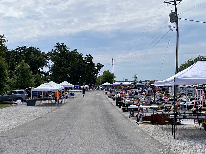 Inside this organized paradise, every collector's dream waits patiently on well-arranged shelves and displays.