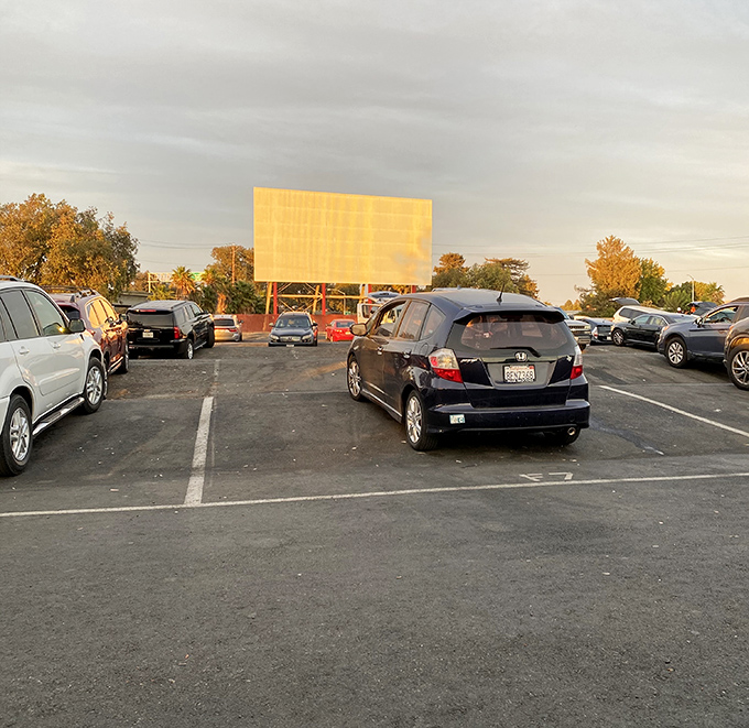 Golden hour at Concord's Solano Drive-In paints cars in honey-colored light, transforming Monday's commuter vehicles into Friday's front-row seats.