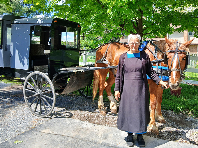 Transportation that never needs a software update. This Amish woman and her horse represent centuries of reliable travel technology.