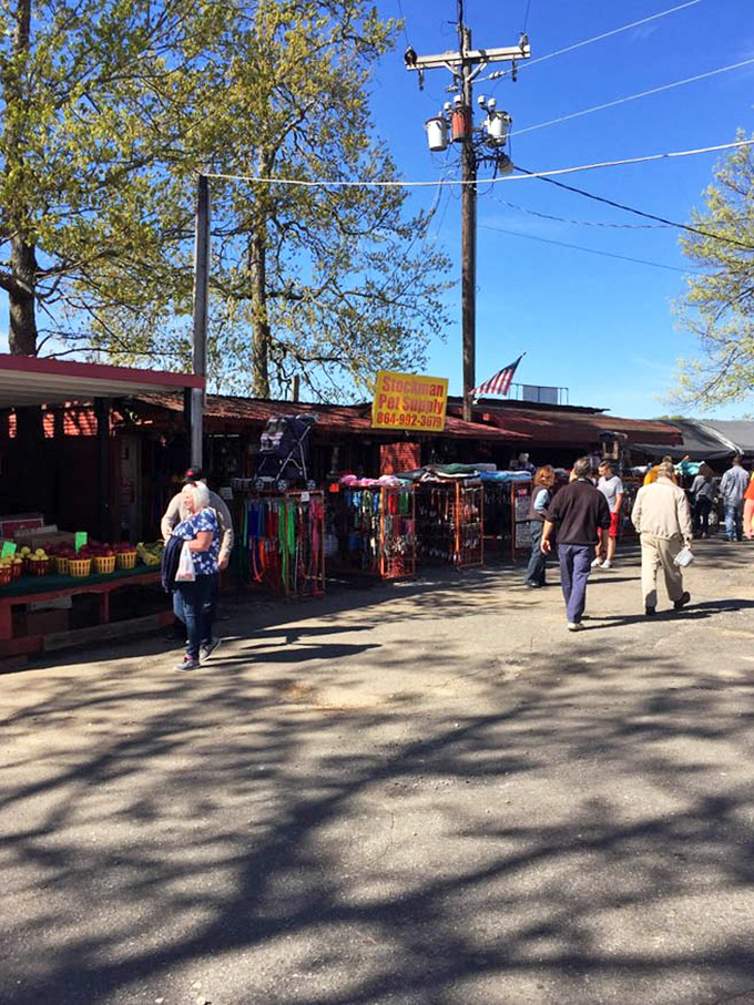 Outdoor vendors line the pathways with everything from pet supplies to power tools. The real magic happens in these sun-dappled corridors of commerce.