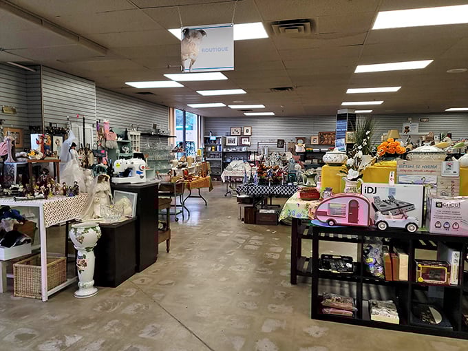 The "Boutique" section showcases curated treasures and collectibles, where yesterday's knickknacks become tomorrow's conversation pieces in someone's carefully decorated home.