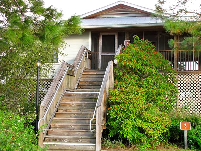 Cabin #3 nestles among native foliage, offering a perfect balance of rustic charm and just enough comfort to keep camping complaints at bay.