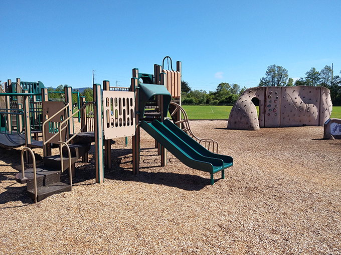 Childhood joy doesn't need Wi-Fi. Arcata's playgrounds prove that slides and climbing structures still outperform iPads in the happiness department.