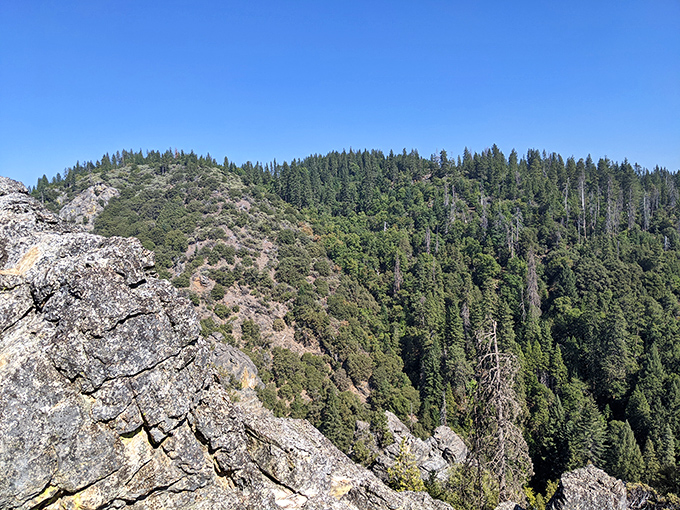The view from Arnold Rim Trail makes you wonder why anyone would choose concrete jungles over this breathtaking natural masterpiece.