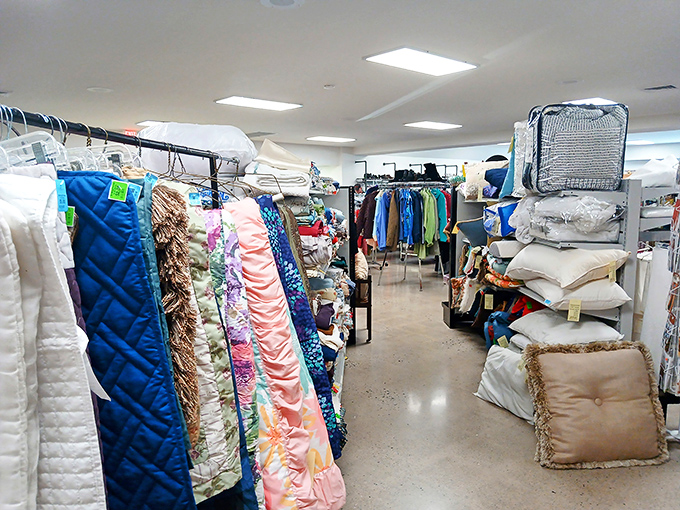 Bedding paradise! From quilts that could tell stories to pillows plumper than your aunt's Thanksgiving turkey—all priced to make your wallet smile.