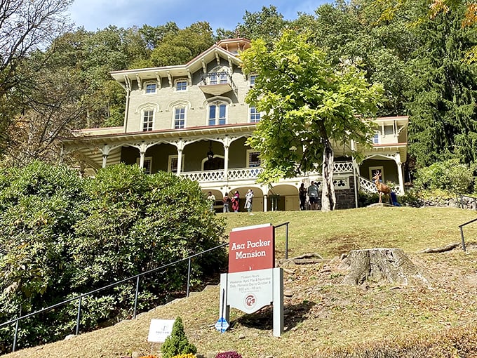 The Asa Packer Mansion perches on its hill like a Victorian grande dame surveying her kingdom. When your house has its own sign, you know you've made it in life.