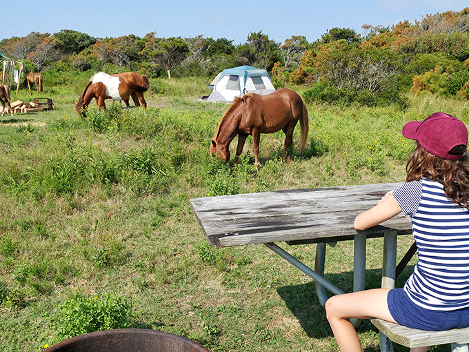 Wild horses couldn't drag me away from Assateague's natural beauty. Just minutes from Berlin, these majestic creatures roam free while campers live out their National Geographic fantasies.