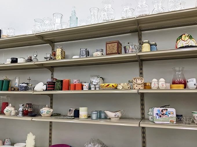 Where else can you find tomorrow's conversation pieces nestled between yesterday's memories? Every shelf tells a different story waiting to be continued.