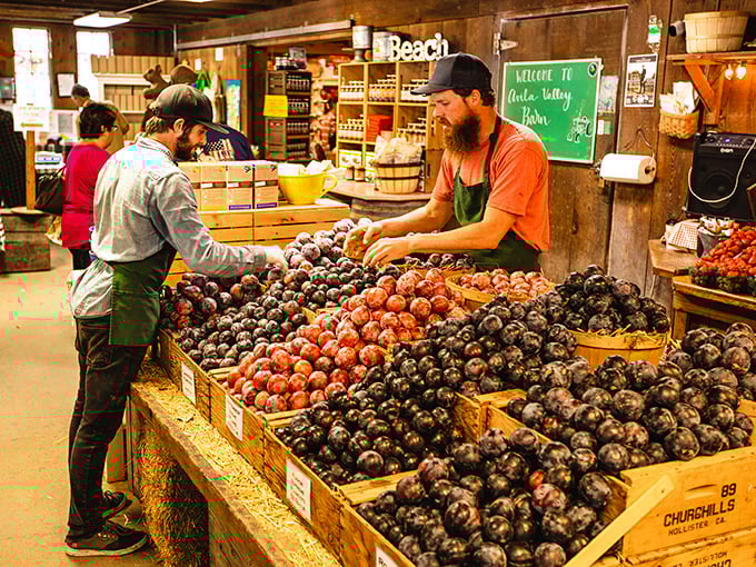 Avila Valley Barn's fruit selection would make Carmen Miranda's hat jealous. Nature's candy store where "just one more plum" becomes your afternoon mantra.