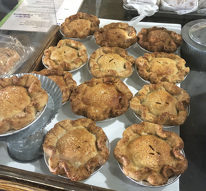 Golden-brown pot pies lined up like soldiers ready for delicious duty&mdash;each one a fortress of flaky pastry protecting treasures within.
