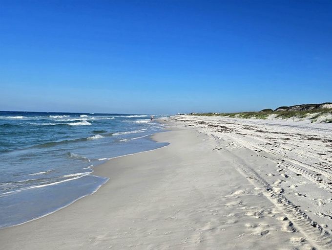 
Miles of untouched shoreline stretching like nature's welcome mat. The kind of beach that makes you wonder why you ever vacation anywhere else.