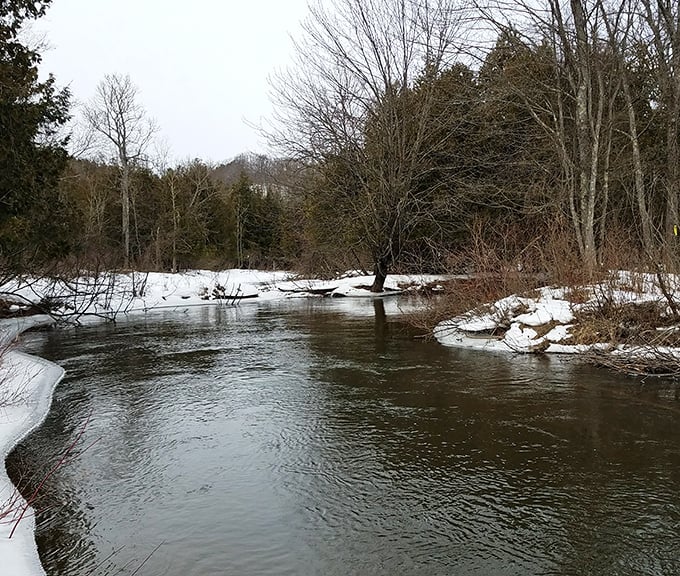The Betsie River flows through winter like a peaceful meditation that forgot to ask for payment.
