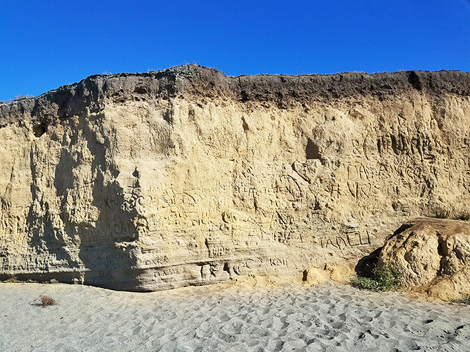 Mother Nature's own art installation. These golden cliffs look like they were sculpted by a deity with an excellent eye for dramatic composition.