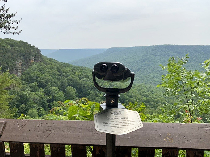 "For a quarter, see forever." These viewfinders offer the best bargain in Tennessee&mdash;panoramic vistas that stretch to tomorrow across the undulating Cumberland Plateau.