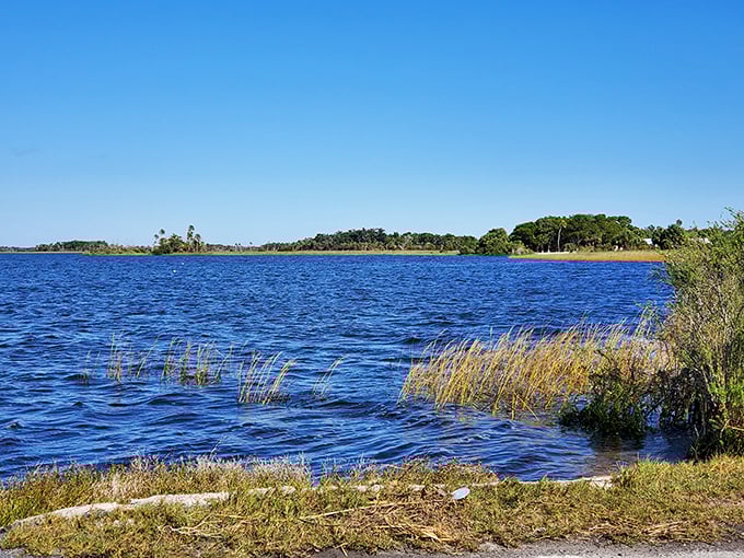 Nature's swimming pool without the chlorine. Bird Creek Beach offers the kind of serene waterfront that developers would charge you a fortune to glimpse.