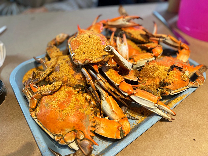 Maryland blue crabs dusted with that signature spice blend&mdash;nature's perfect food requiring only simple tools and patience.