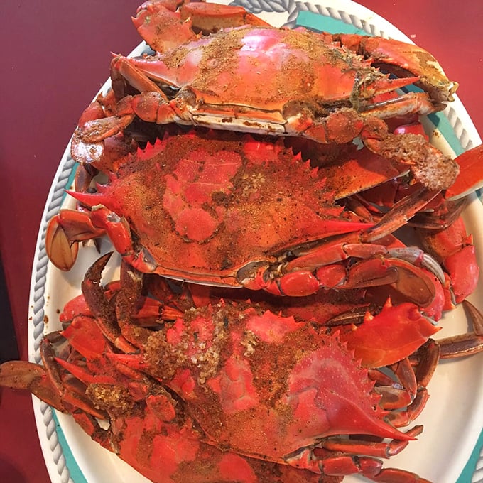 These Old Bay-dusted beauties aren't just crabs; they're Maryland's edible state treasures requiring both tools and determination to conquer.
