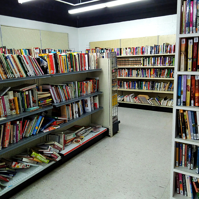 The literary corner: where paperback classics and forgotten bestsellers find their second chapter. Bookworms can feast without emptying their wallets.