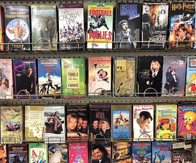 From blockbuster hits to forgotten gems, the VHS collection is a time capsule of entertainment history waiting to be unearthed.