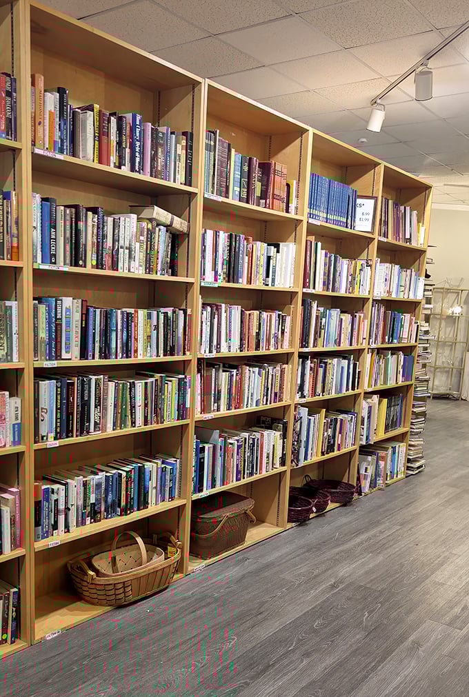 Bookworms, rejoice! These shelves hold more stories than a Hollywood memoir, all waiting for their next reader to crack the spine.