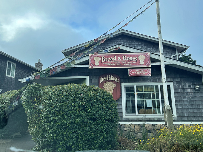Bread & Roses Bakery, where carb-counting goes to die a deliciously happy death amid the scent of fresh-baked everything.